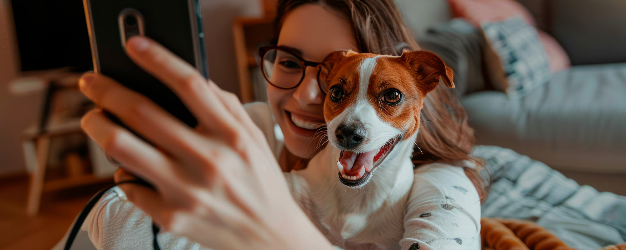 Pets – Iunik Argentina